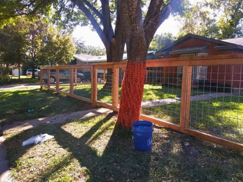 Bull Panel Fence Cedar Park TX
